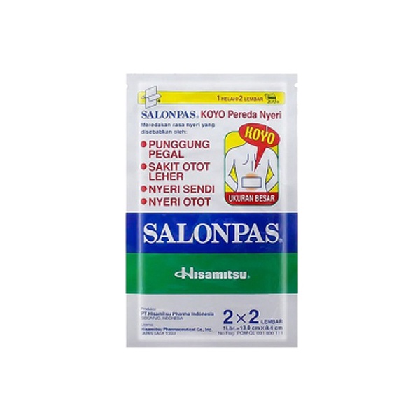 Salonpas Large 4's 10pc | Indonesia Distribution Hub